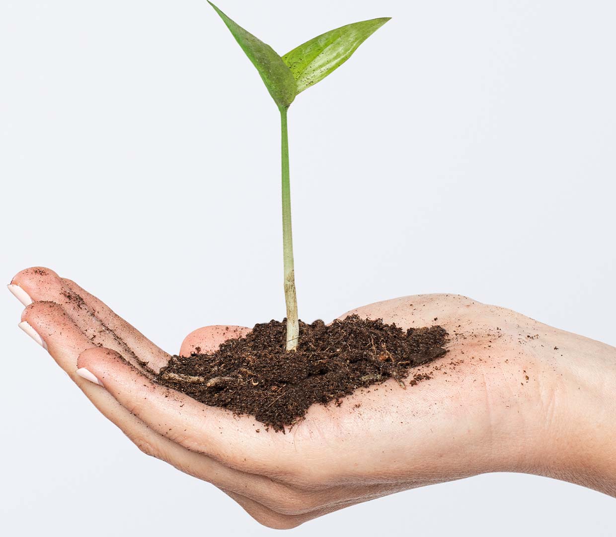 VENTURE CAPITAL & PRIVATE EQUITY PRINCIPALS - Mfin